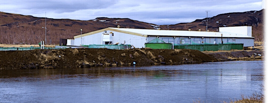 Backing for sustainable aquaculture investments