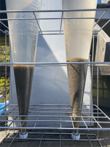 Drum filter or disc filter? Experiences from RAS facilities and tests