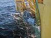 Successful completion of Offshore Farm 1 fish transfer system
